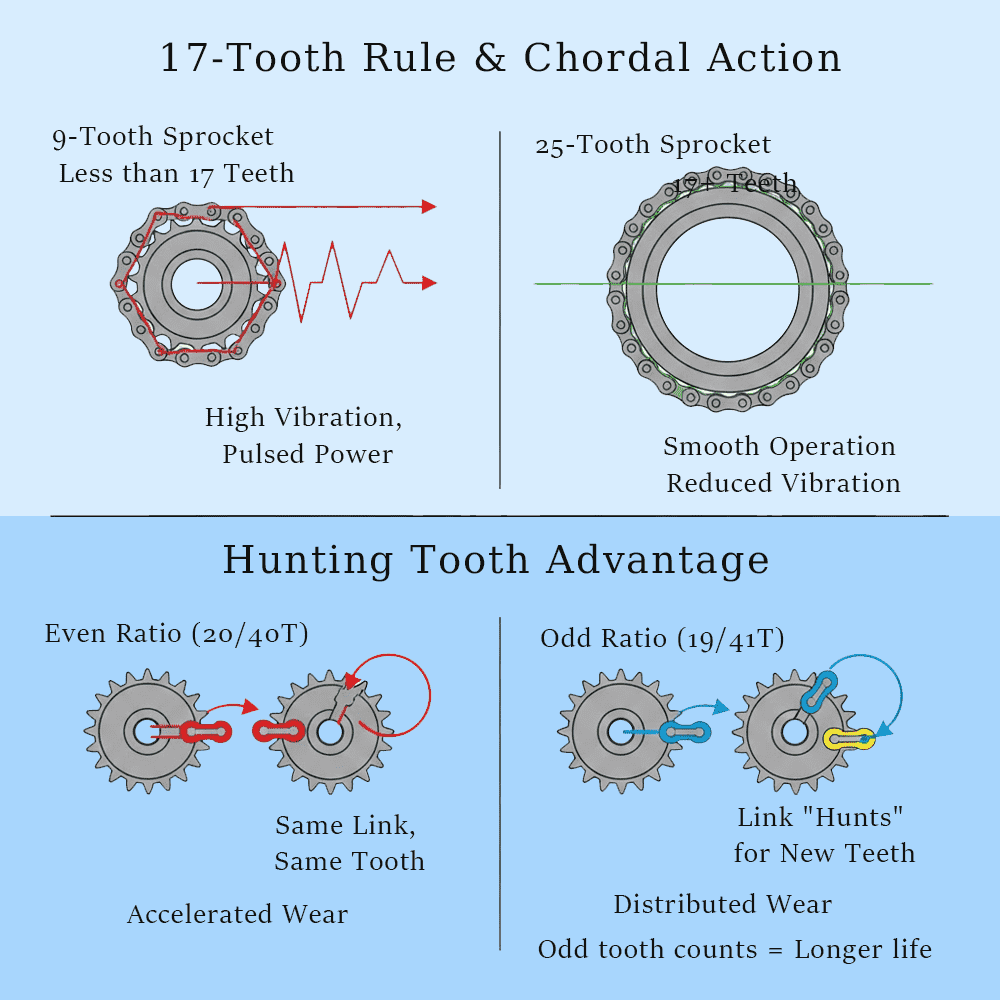 Sprocket Types and Sprocket Ratio Selection Guide